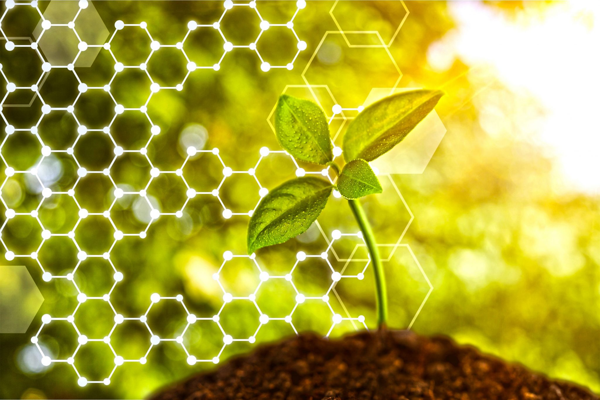 Biofuels: Driving the Future - BJUtoday