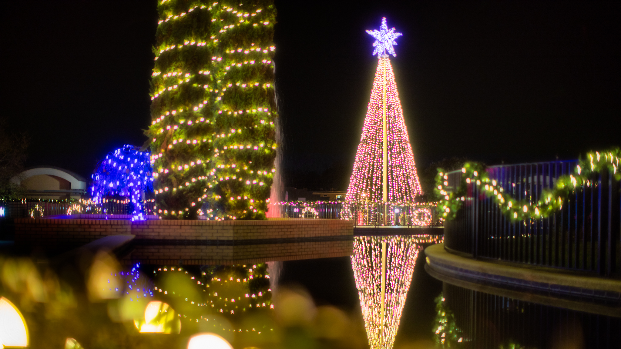 Christmas Greetings from President Pettit - BJUtoday